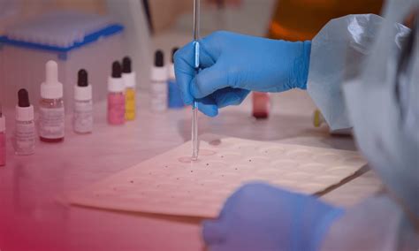 How Lis Software Improves Data Visualization And Analysis Novopath