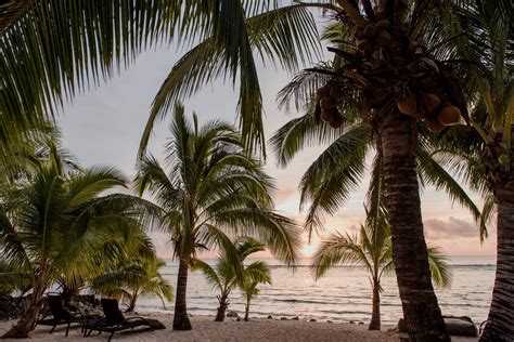 Eprinsa Apartmani Čanj Updated Eprinsa Apartmani Čanj