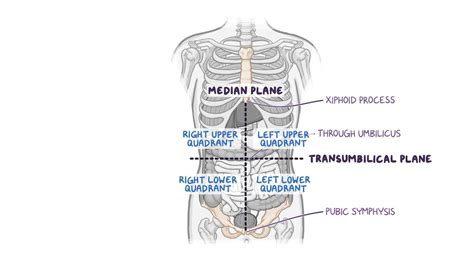 Four Abdominopelvic Quadrants