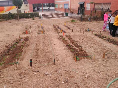 Montaje De Compostera Escolar En El Ceip Nuestra Señora De Las Nieves Compostaje Granada