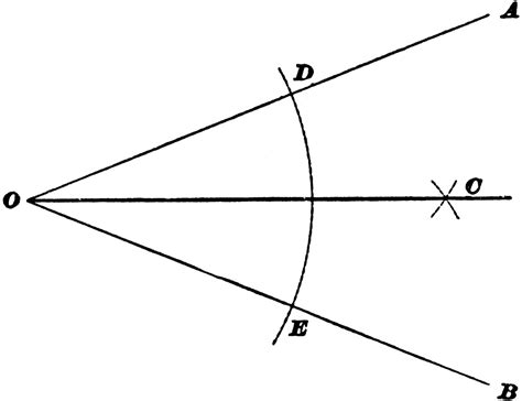 Bisect In Geometry
