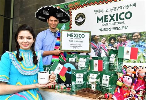 착한 커피 마셔볼까 엔제리너스 공정무역 커피 출시 한국경제