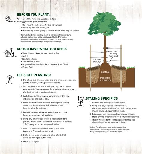 Fruit Tree Fertilizers At Koby Wm Blog