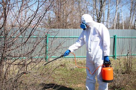 How Much Does Tick Control Cost