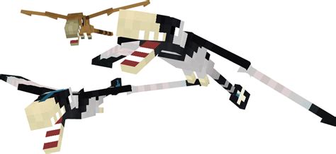 Dimorphodon Fossils And Archeology Wiki