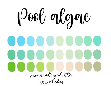 Summer Bundle Procreate Color Palette Ipad Procreate Tools Summer Color