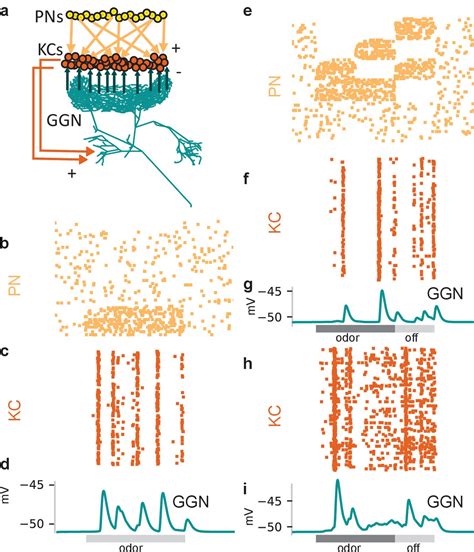 Figures And Data In Feedback Inhibition And Its Control In An Insect