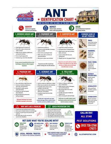 Pest Identification Charts Kansas City