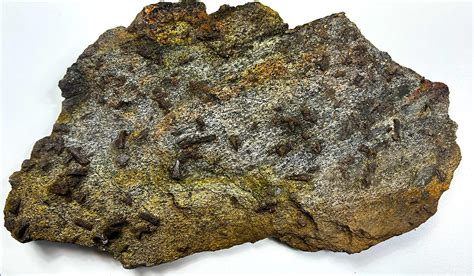 Staurolite Garnet Mica Schist From Black Hills South Dakota Etsy