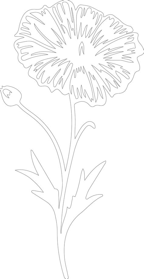 Silhueta De Contorno De Chicória Fundo Branco Vetor Premium