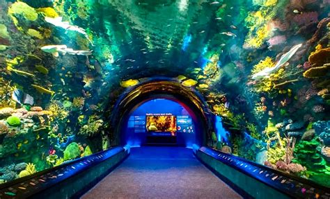 New York Aquarium Coney Island