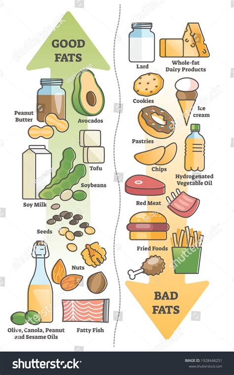 Good Fats Vs Bad Food Healthy Stock Vector Royalty Free 1928448251
