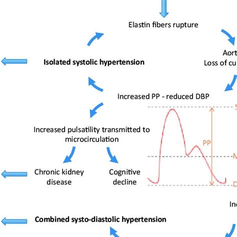 Escesh Classification Of Bp Levels Download Table