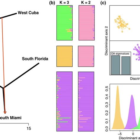 Historic Gene Flow And Differentiation Of The Hybrid Population In Download Scientific Diagram