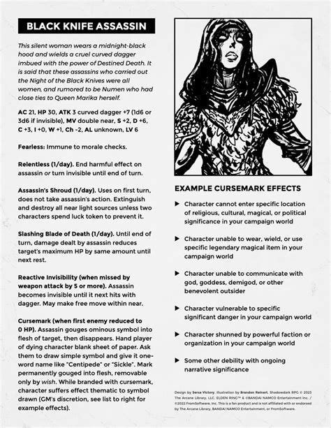 Black Knife Assassin By Sersa Victory