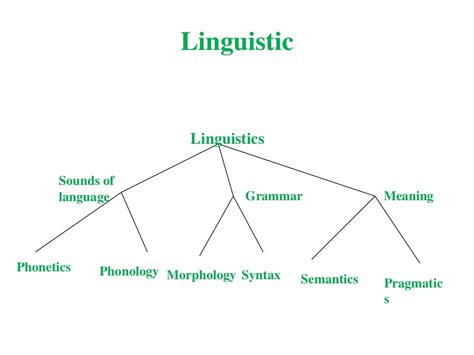 Branches Of Linguistics