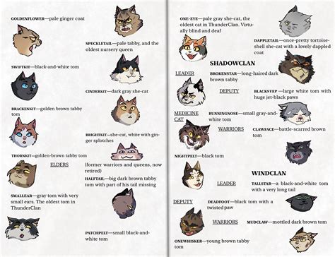 Unseen Artwork Allegiances For The Prophecies Begin Graphic Novels Warrior Cats