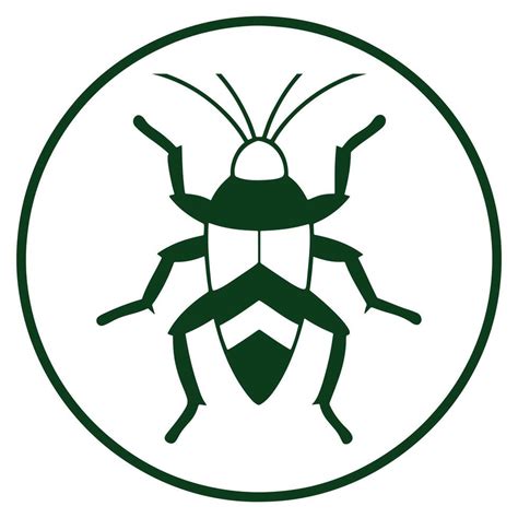 Realistic Cockroach Design With Elegance 53060034 Vector Art At Vecteezy