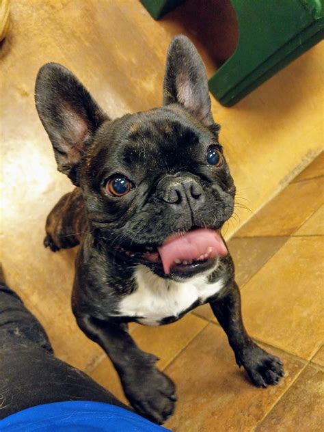 Play With Meeee Scrolller