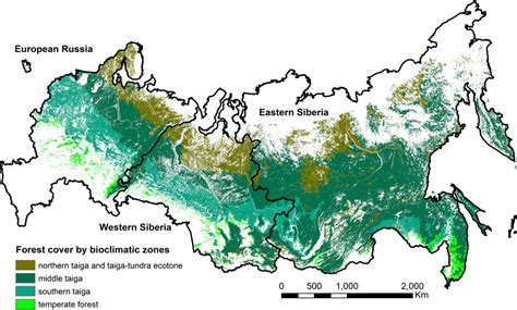 Will Russias Forests Be An Asset Or An Obstacle In Climate Fight Vgemal