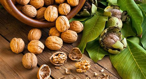 Walnuts 10 Health Benefits Of Walnuts