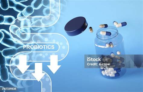 Probiotics Banner Template Probiotic In Capsule Human Microbiome