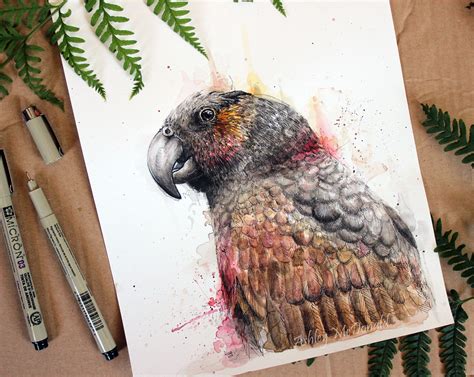 Ashley Mcdonald Nature Artist
