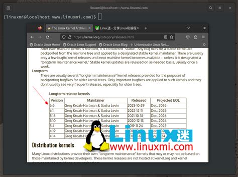 正式确认：linux 66 内核将成为 Lts 版本，将获得支持直至2026年12月 Linux迷