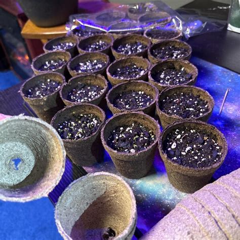 Peat Pots Bulk 2 14” Round Great For Seed Starting 48 96 Or 192