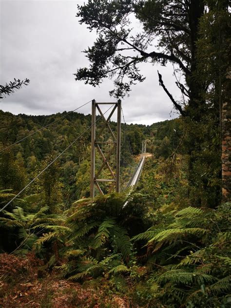 Te Araroa Nordinsel Der Timber Trail Abenteuer Outdoor