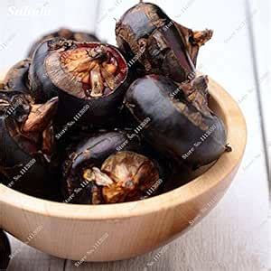 On Sale 30 Pcs Bag Water Chestnut Seed Aquatic Seeds S Rare Semente De