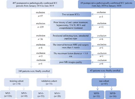 An Mri Based Radiomics Model For Preoperative Prediction Of Microvascular Invasion And Outcome