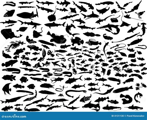 Vector Fish Stock Vector Illustration Of Animal Life 4131130