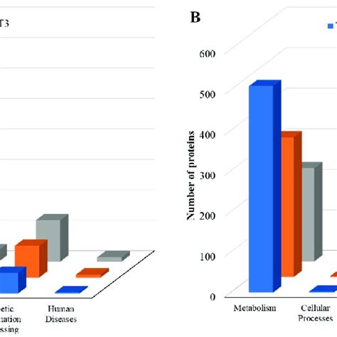 Detailed Cog Functional Classification In Differentially Expressed