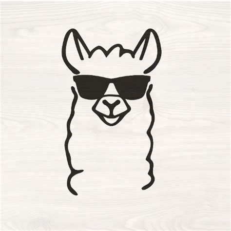 Starlin Ortiz Youtube