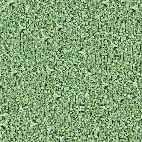 Grass Wall Texture Images Free Download On Freepik