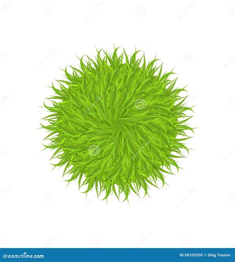 Grass Circle White Background Stock Illustrations 12 075 Grass Circle White Background Stock