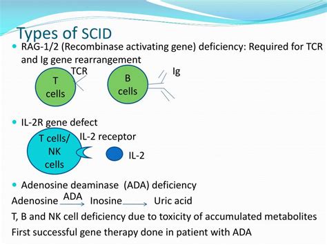 What Is Scid Disorder Golfindian