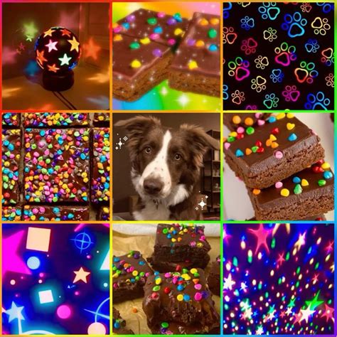 Cosmic Brownie Border Collie Moodboard