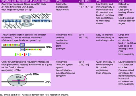 A Comparison Of Genome Editing Tools Download Table