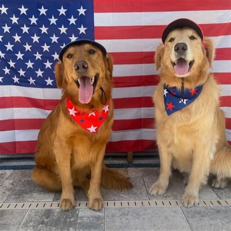 Grrswf Facebook Linktree