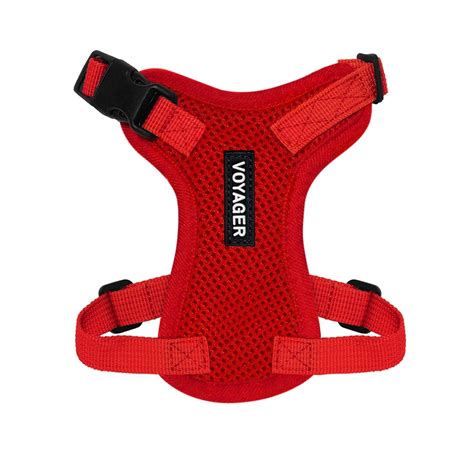 Step In Lock Cat Harness Perfect Fit And Comfort With Air Mesh Voyage