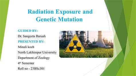 Presentation On Radiation Exposure And Genetic Mutationpptx