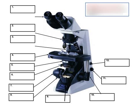Lab 1 Microscopes Diagram Quizlet