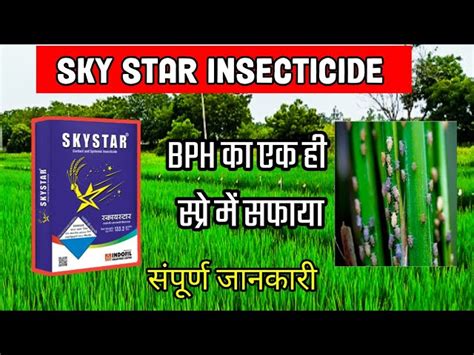 Indofil Insecticide Skystar 1332 Gm Trader Wholesaler