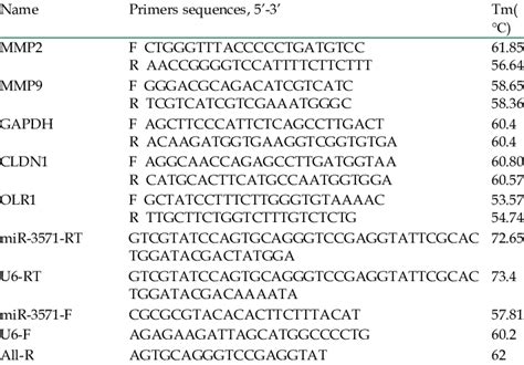 Gene Specific Primer Sequences For Rt Qpcr Download Scientific Diagram