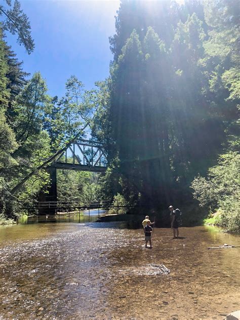 Henry Cowell River Trail Never Say Someday