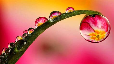 1000 Water Pictures