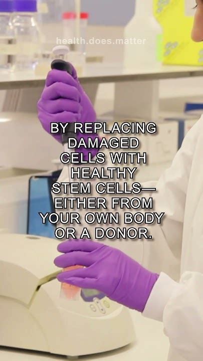 Stem Cell Transplants Can Be Life Saving 🌱 Stemcelltransplant
